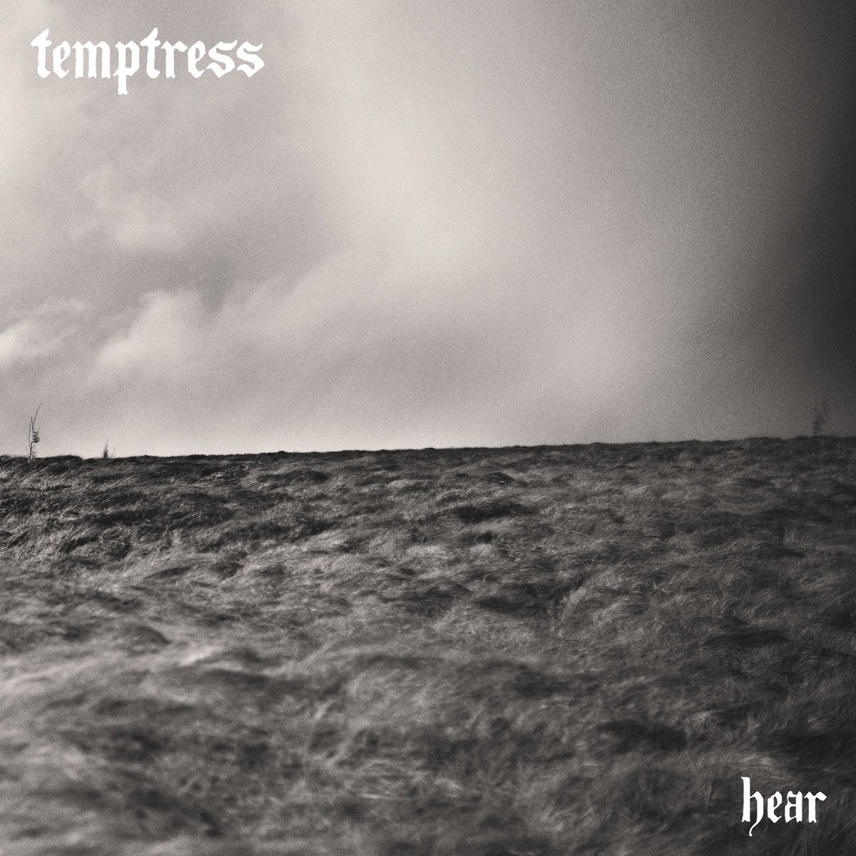 Review: Hear by Temptress – slow draw is…